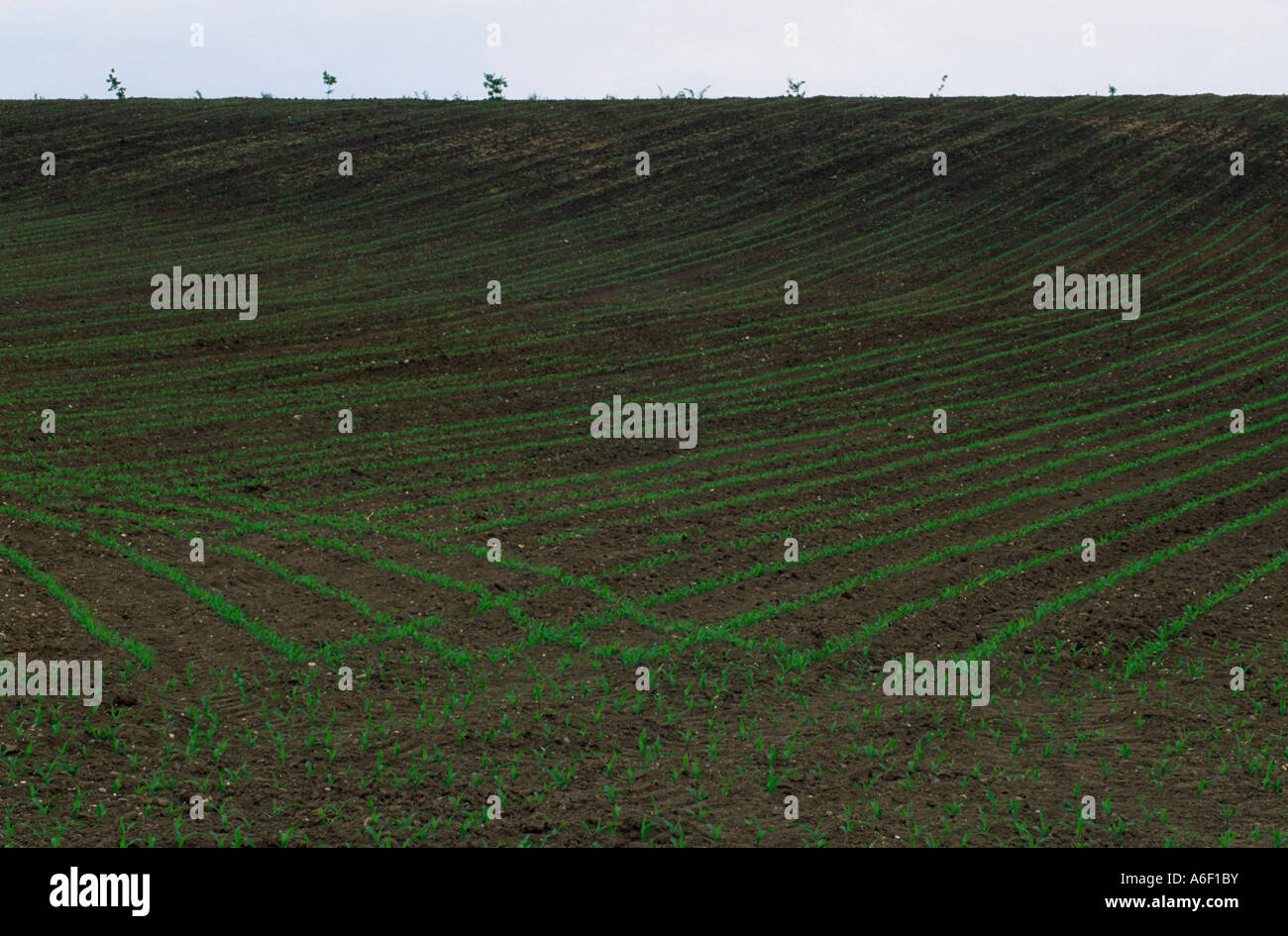 Enfield field hi-res stock photography and images - Alamy