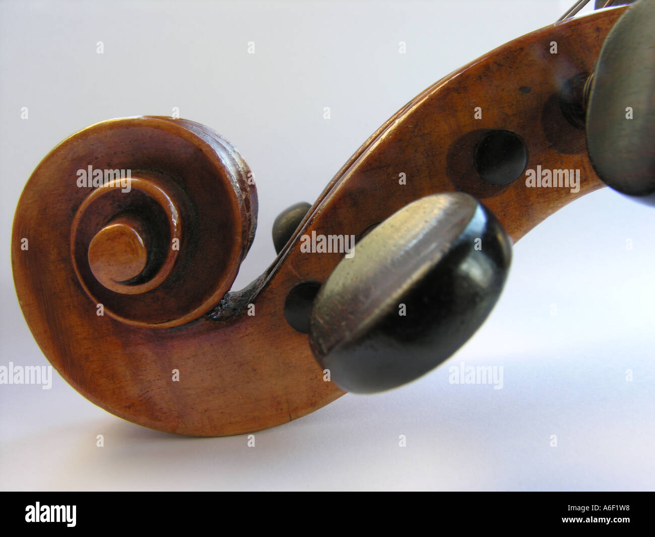 Violin scroll on white background Stock Photo - Alamy