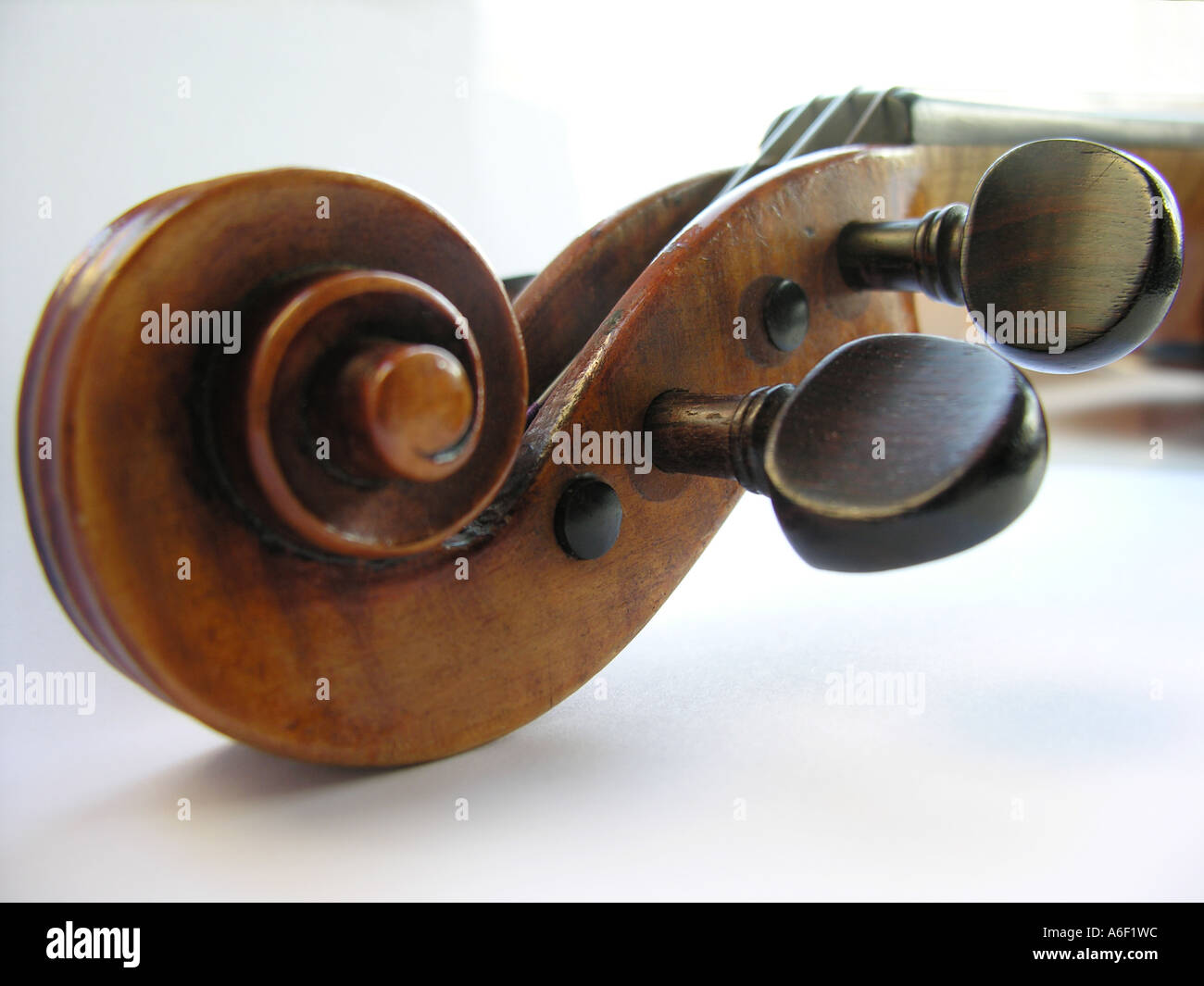 Violin scroll on white background Stock Photo - Alamy