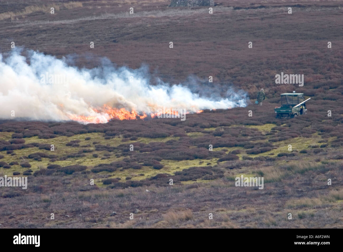 burning heather grouse moor conservation Stock Photo - Alamy