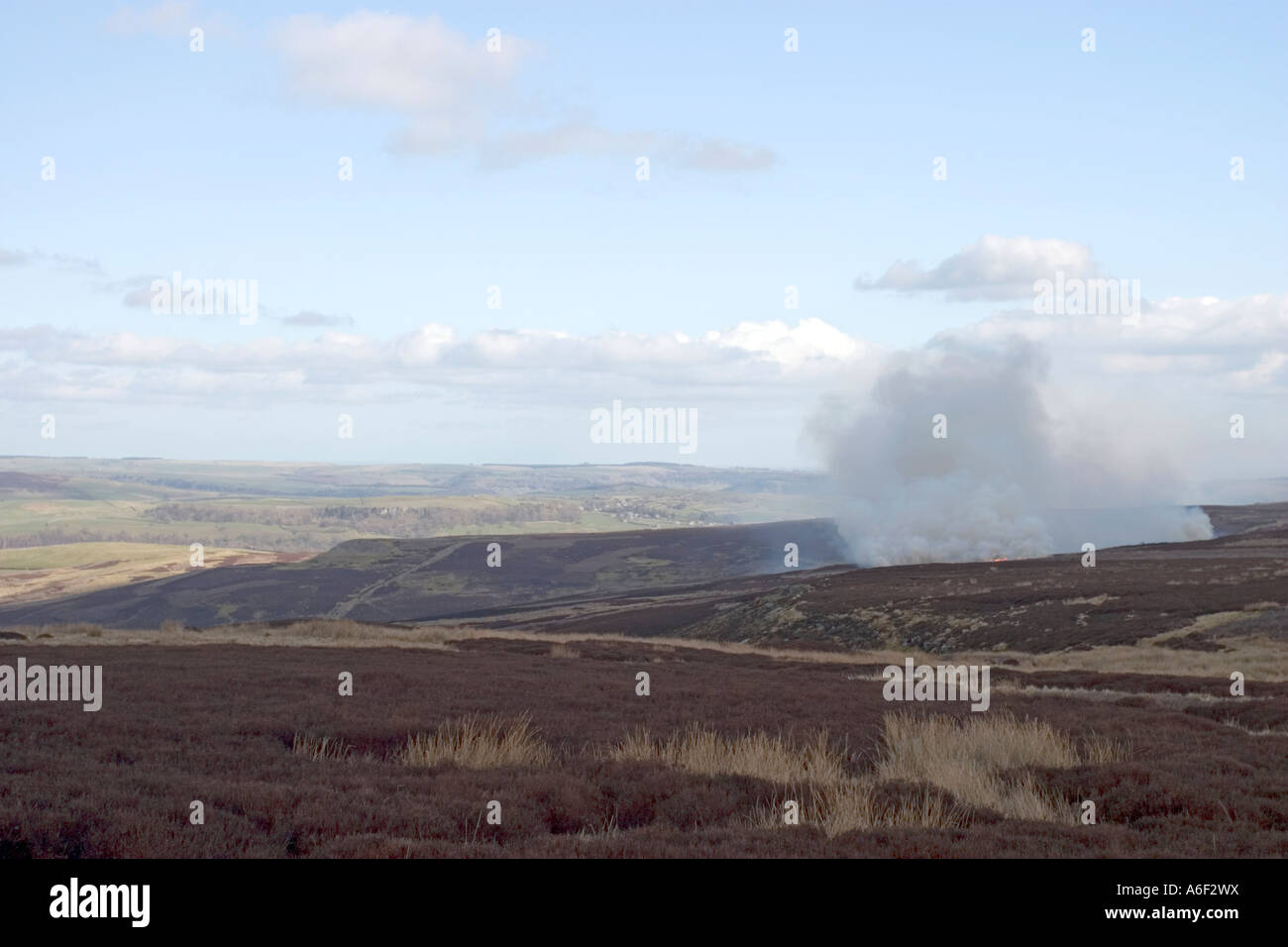 burning heather grouse moor conservation Stock Photo - Alamy