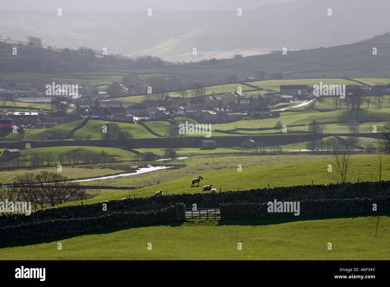 Swaledale stone walls and lone trees Yorkshire Dales Stock Photo - Alamy