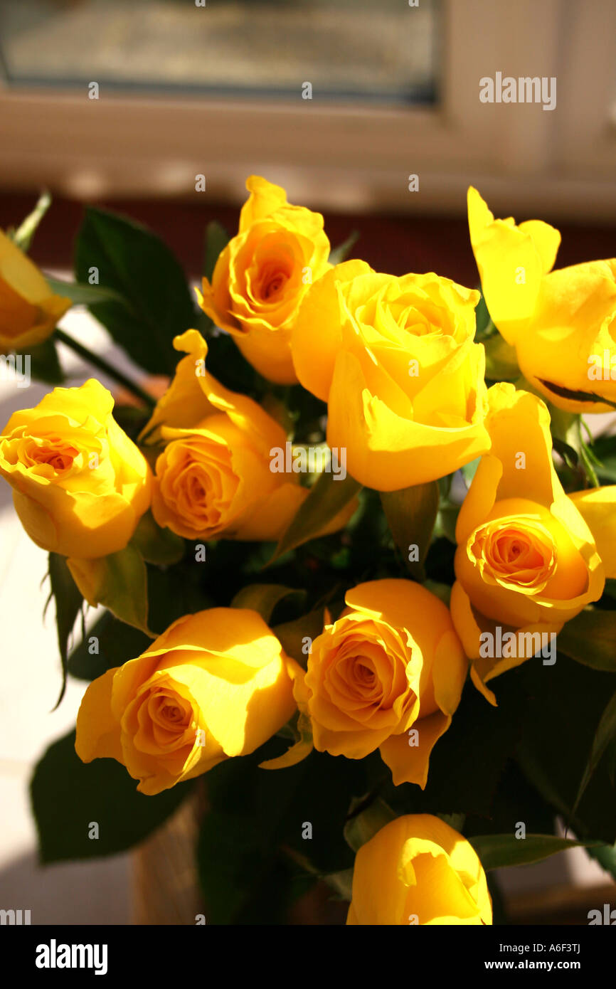 YELLOW ROSE BOUQUET Stock Photo - Alamy