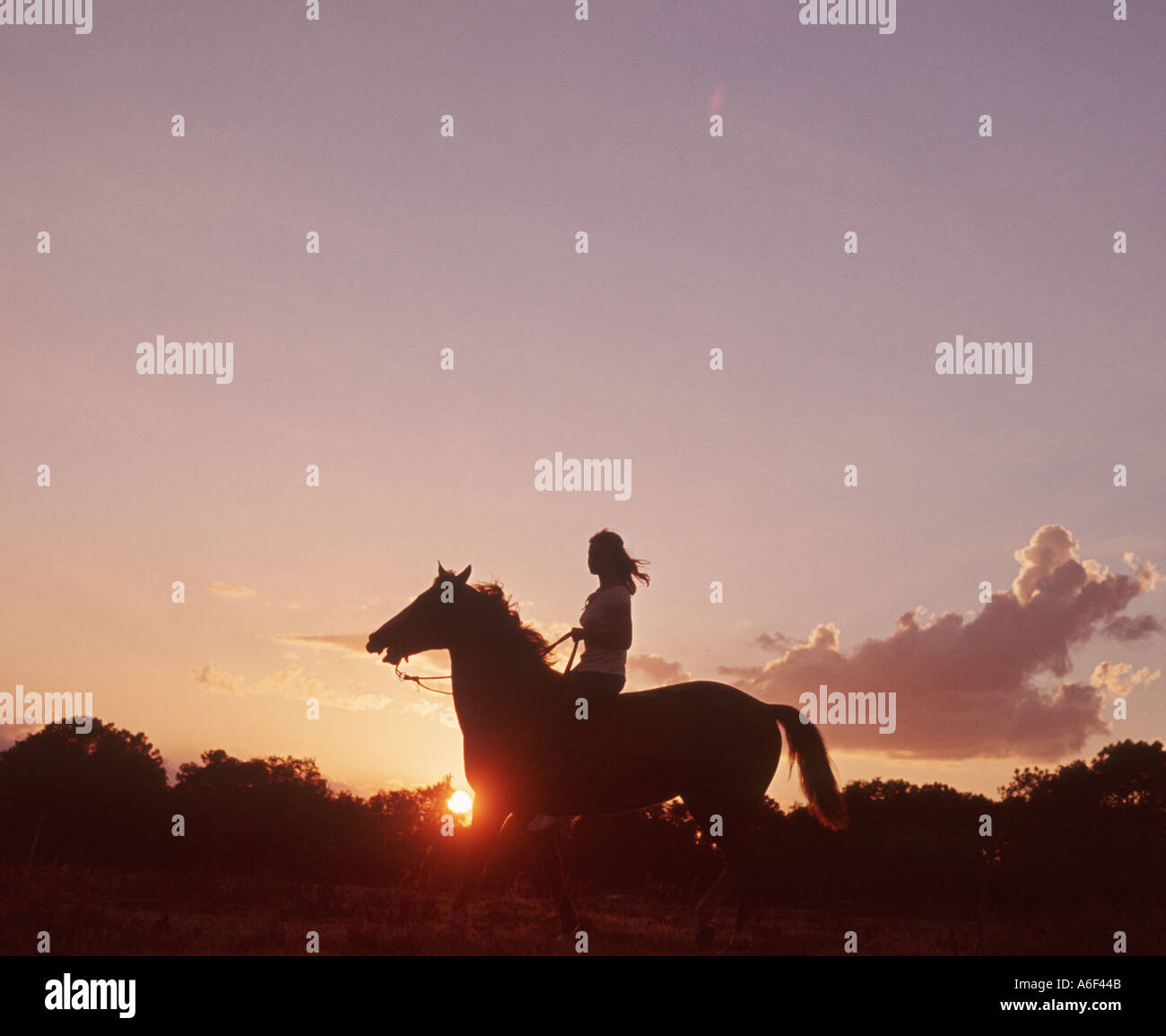 girl riding horse at sunset Stock Photo - Alamy