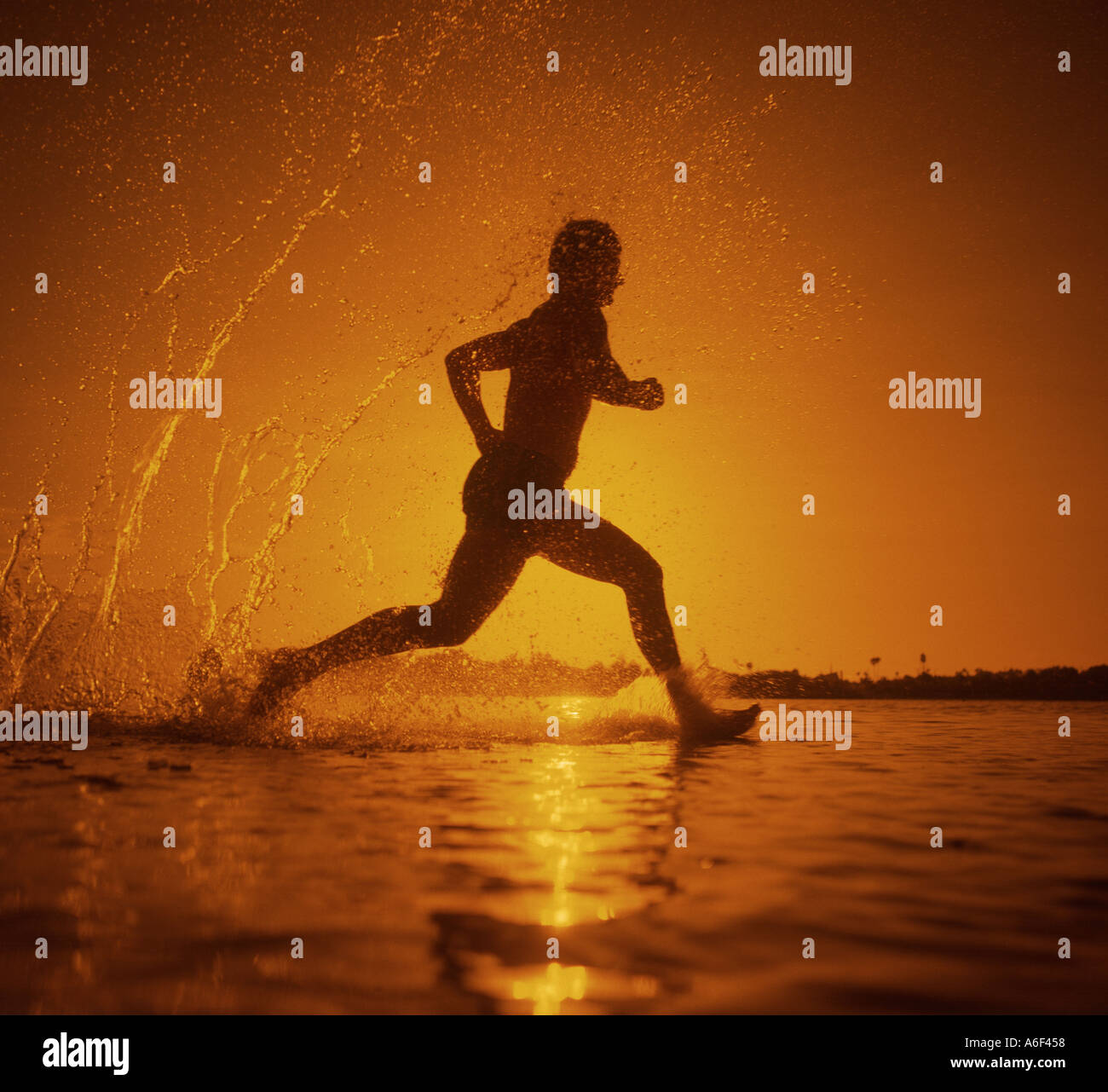 man running in shallow water at sunset Stock Photo - Alamy