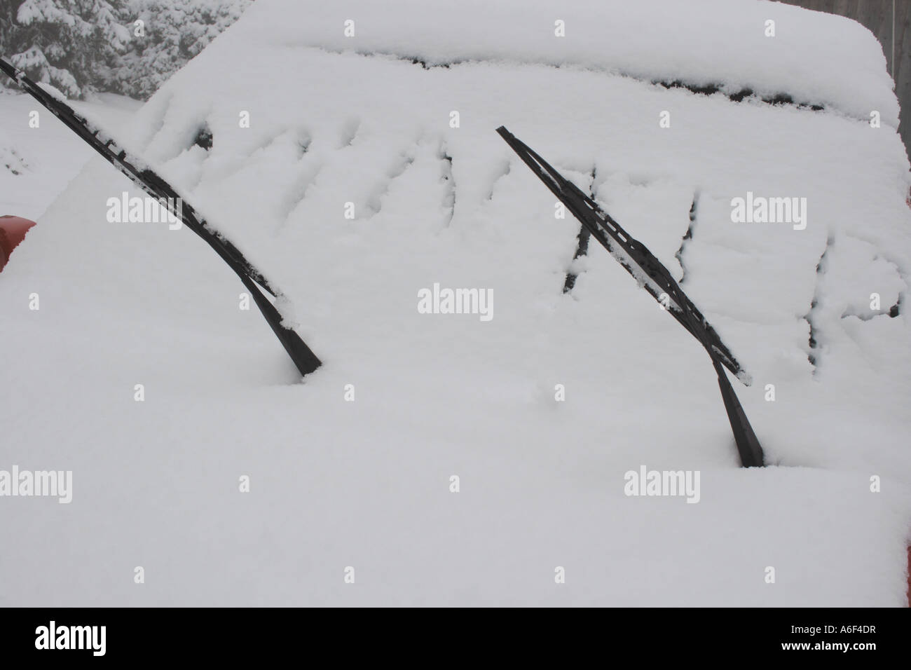 Willy wiper hi-res stock photography and images - Alamy