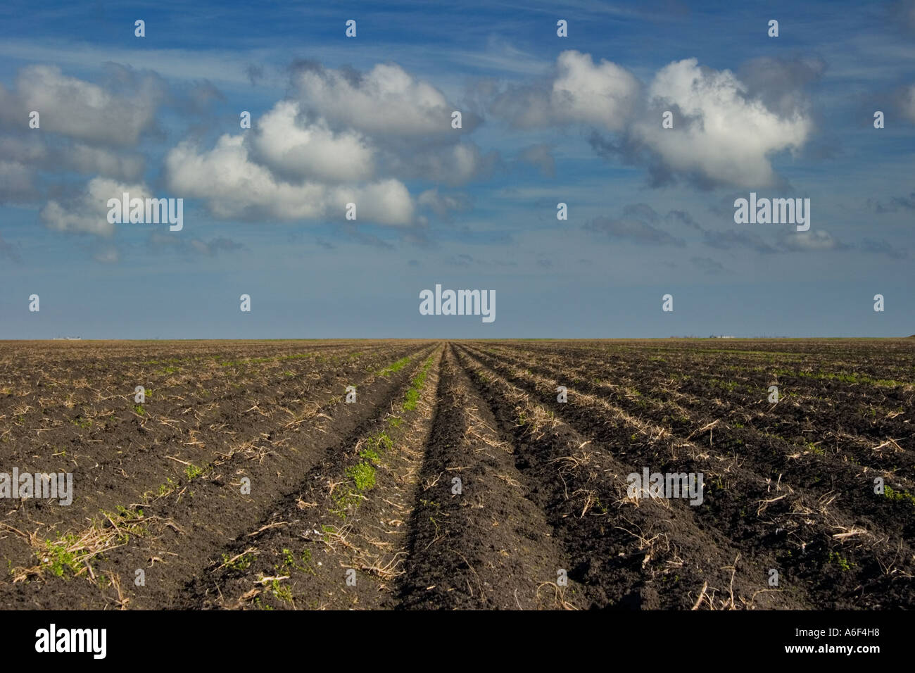 Field with furrowed land Stock Photo - Alamy Field with furrowed land Stock Photo - Alamy