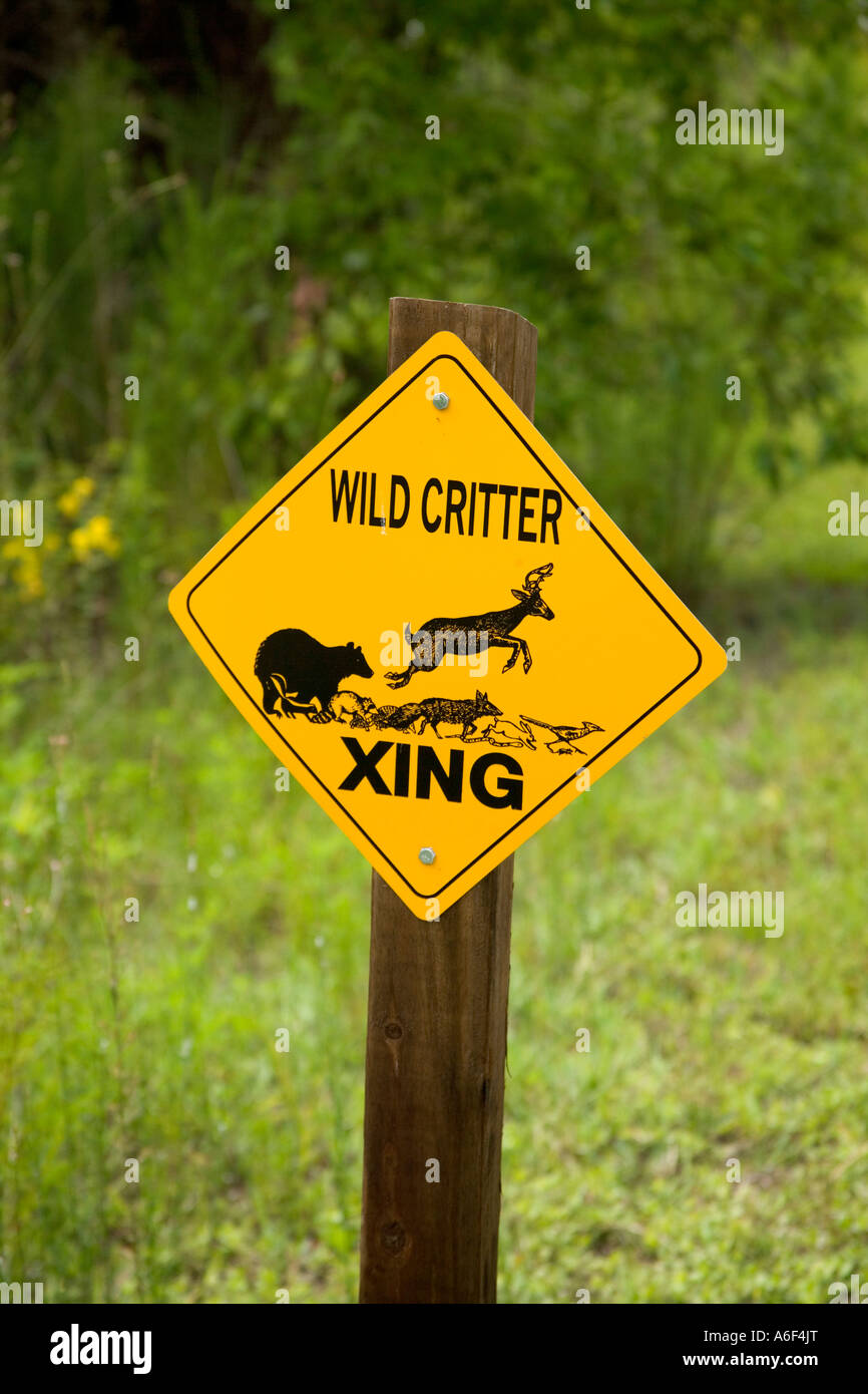 Critter xing hi-res stock photography and images - Alamy