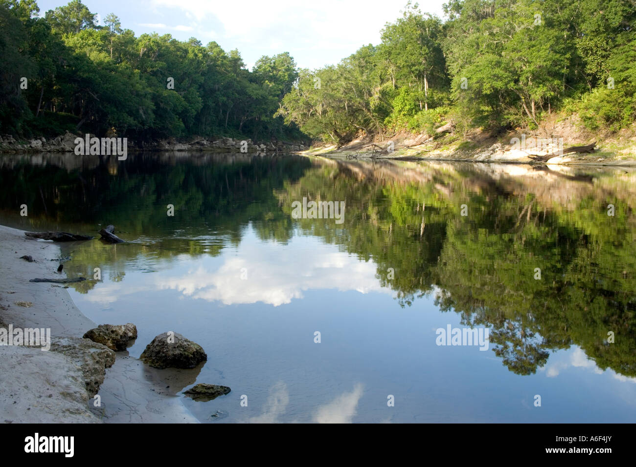 Early morning light reflecting shoreline forest, Suwanee River State ...