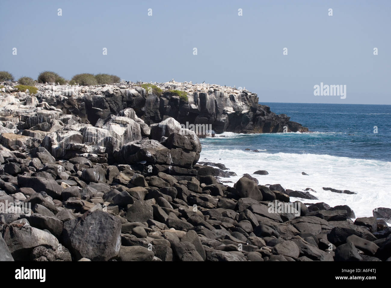Punta Suarez Espanola Island Galapagos Islands Ecuador South America ...