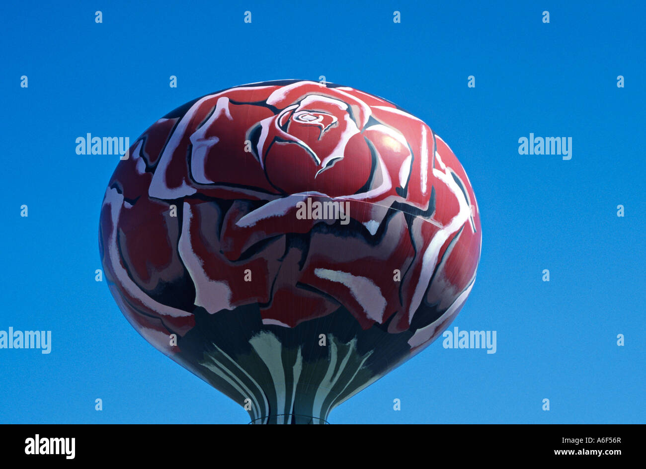 Rose rosemont illinois water tower hi-res stock photography and images ...