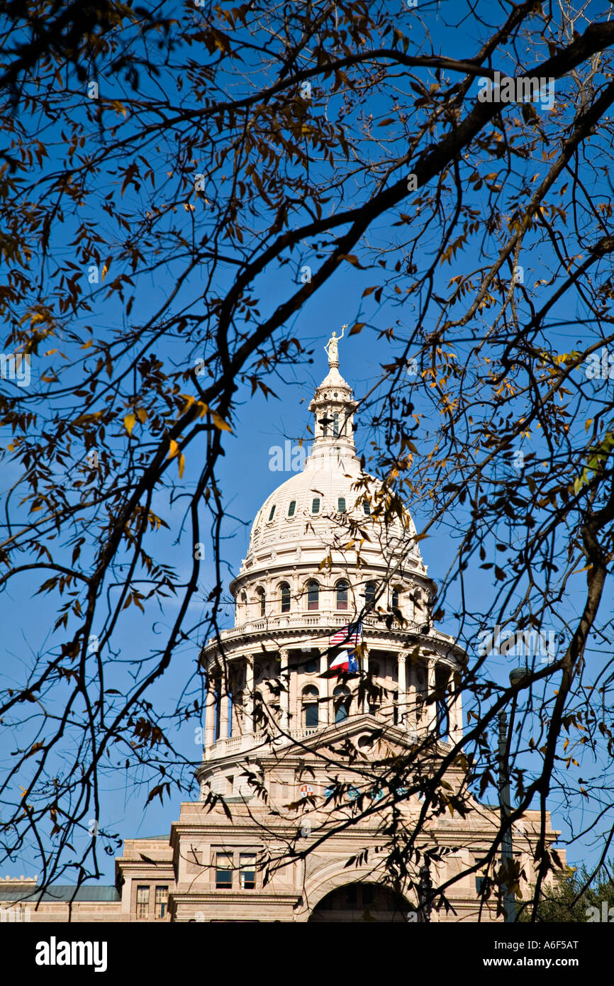 TEXAS Austin Dome of State Capitol building viewed through branches in ...