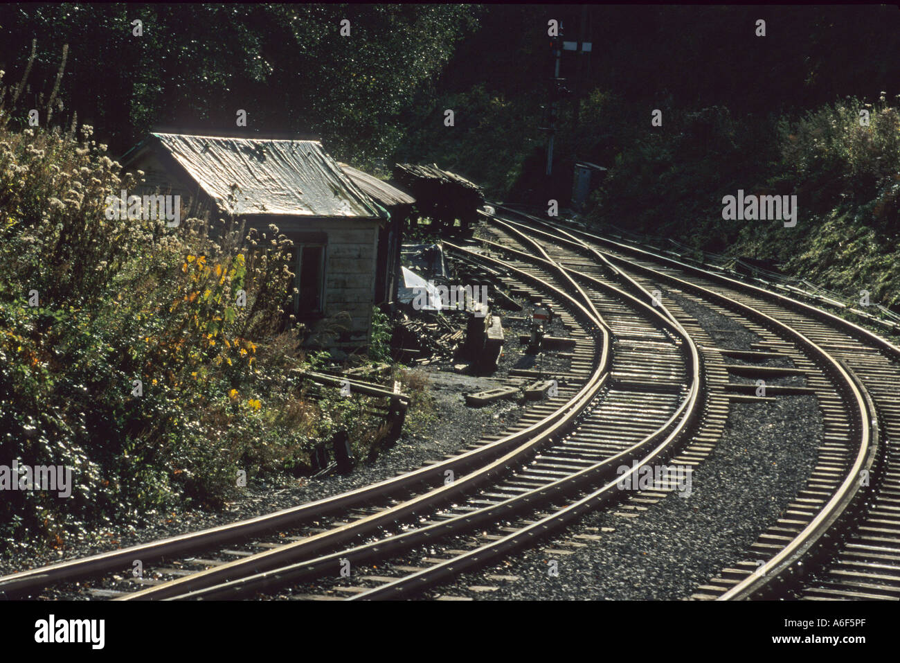 Dean Forest Railway Forest Of Dean Gloucestershire England Stock Photo ...