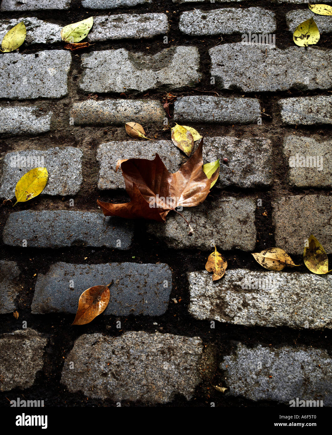 Old london cobblestone street cobbles hi-res stock photography and ...