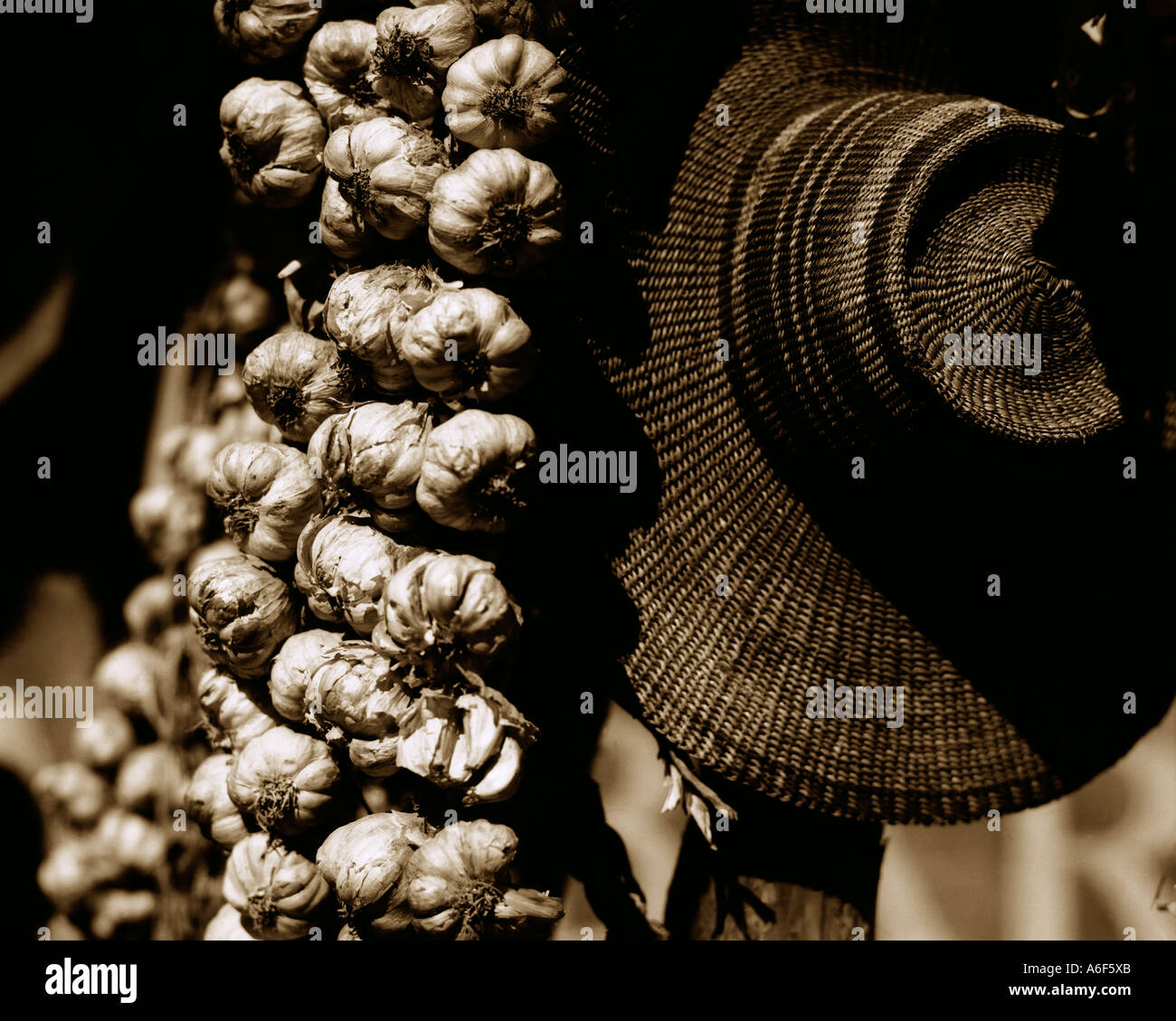 Garlic strand hi-res stock photography and images - Alamy