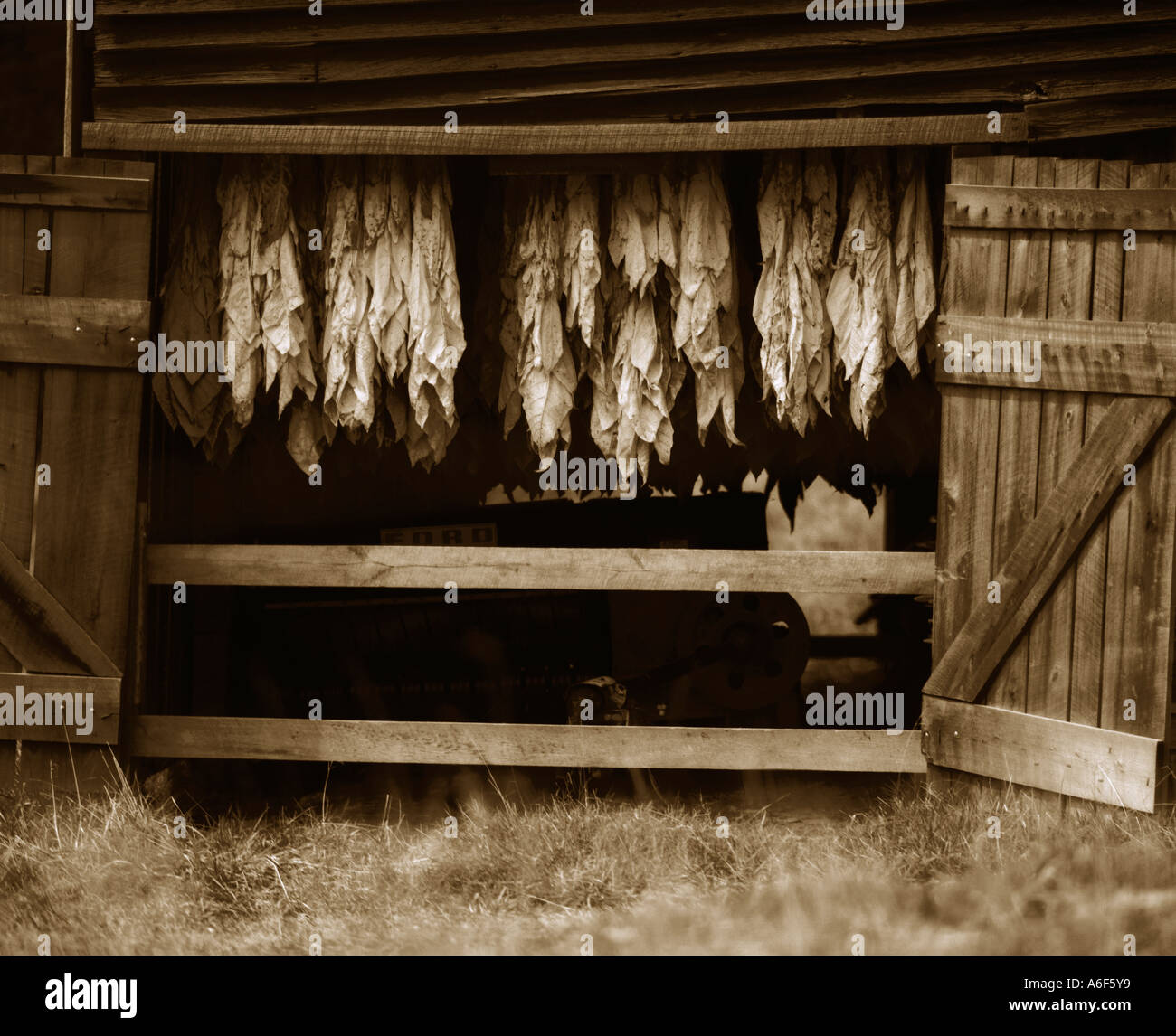 Old Tobacco Barn Stock Photo - Alamy
