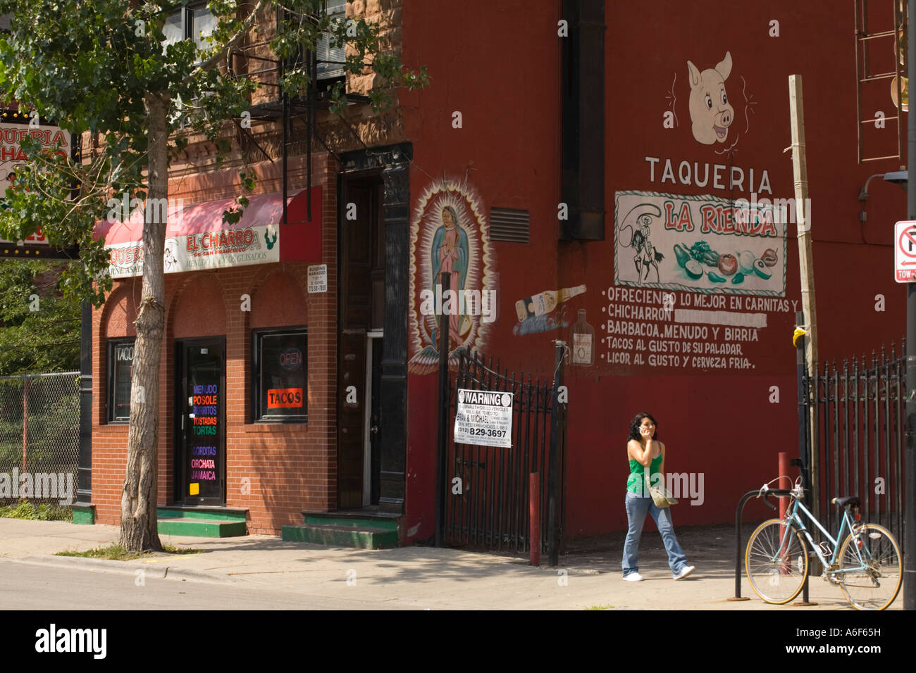 ILLINOIS Chicago Mural on building Pilsen neighborhood on near south ...