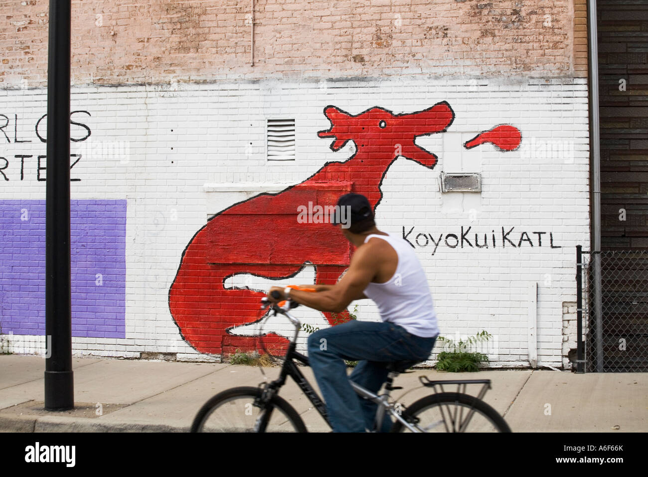 Illinois Chicago Man Ride Bicycle Past Outdoor Mural Pilsen Neighborhood On Near South Side Pork