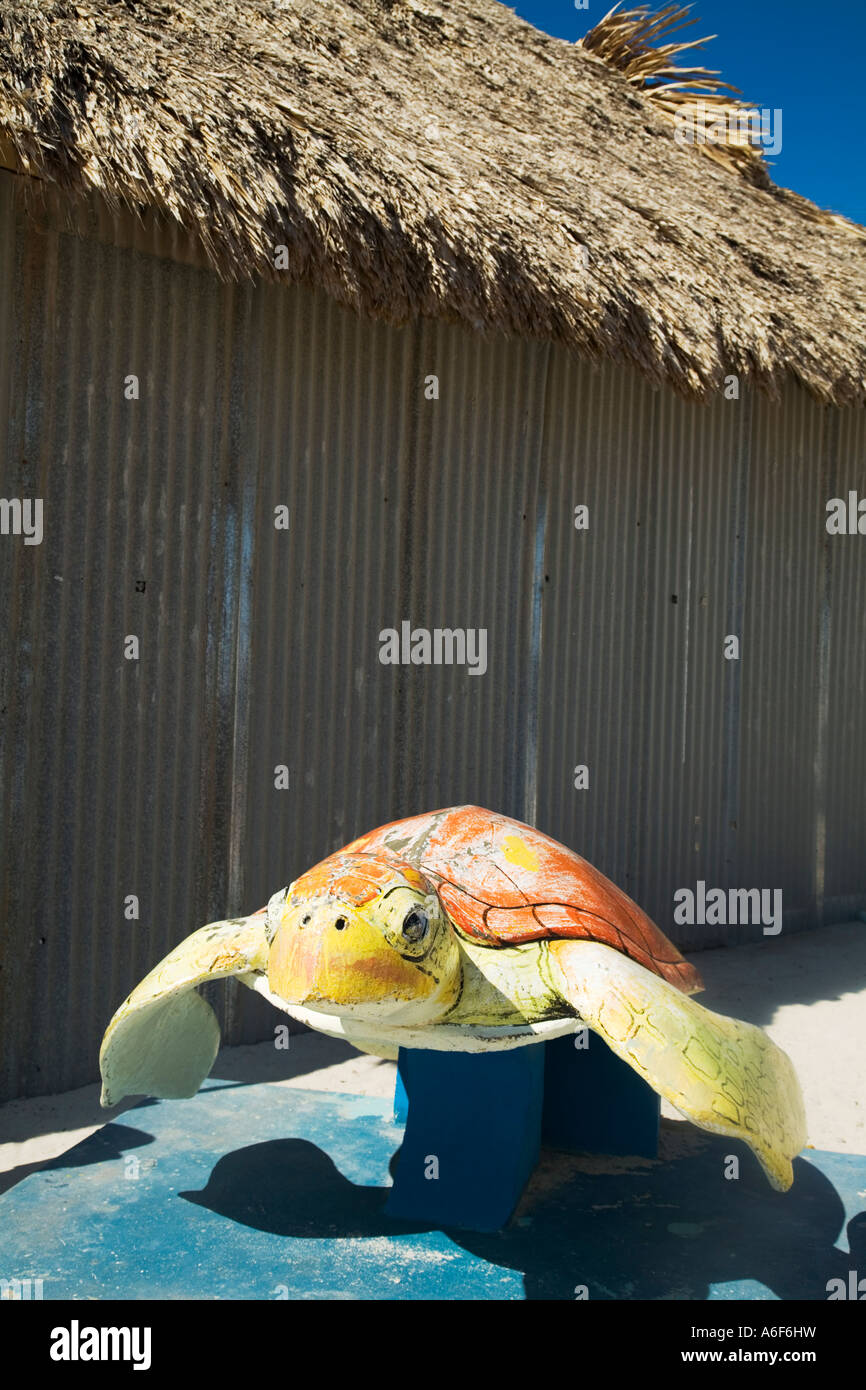 BELIZE San Pedro Ambergris Caye Painted sea turtle in downtown park ...