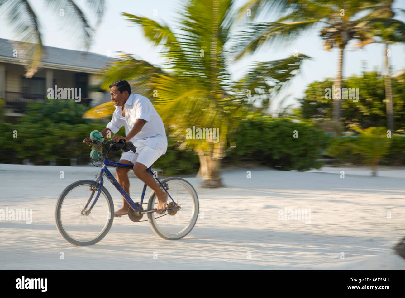 BELIZE Ambergris Caye Belizian man bicycle barefoot on beach palm trees ...