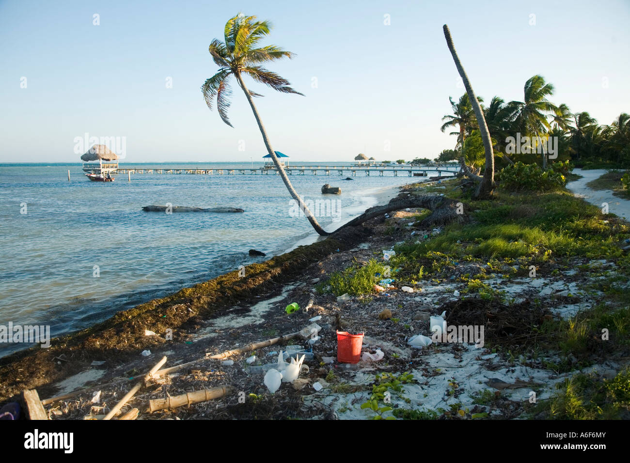 BELIZE Ambergris Caye Trash and garbage washed ashore on beach along ...