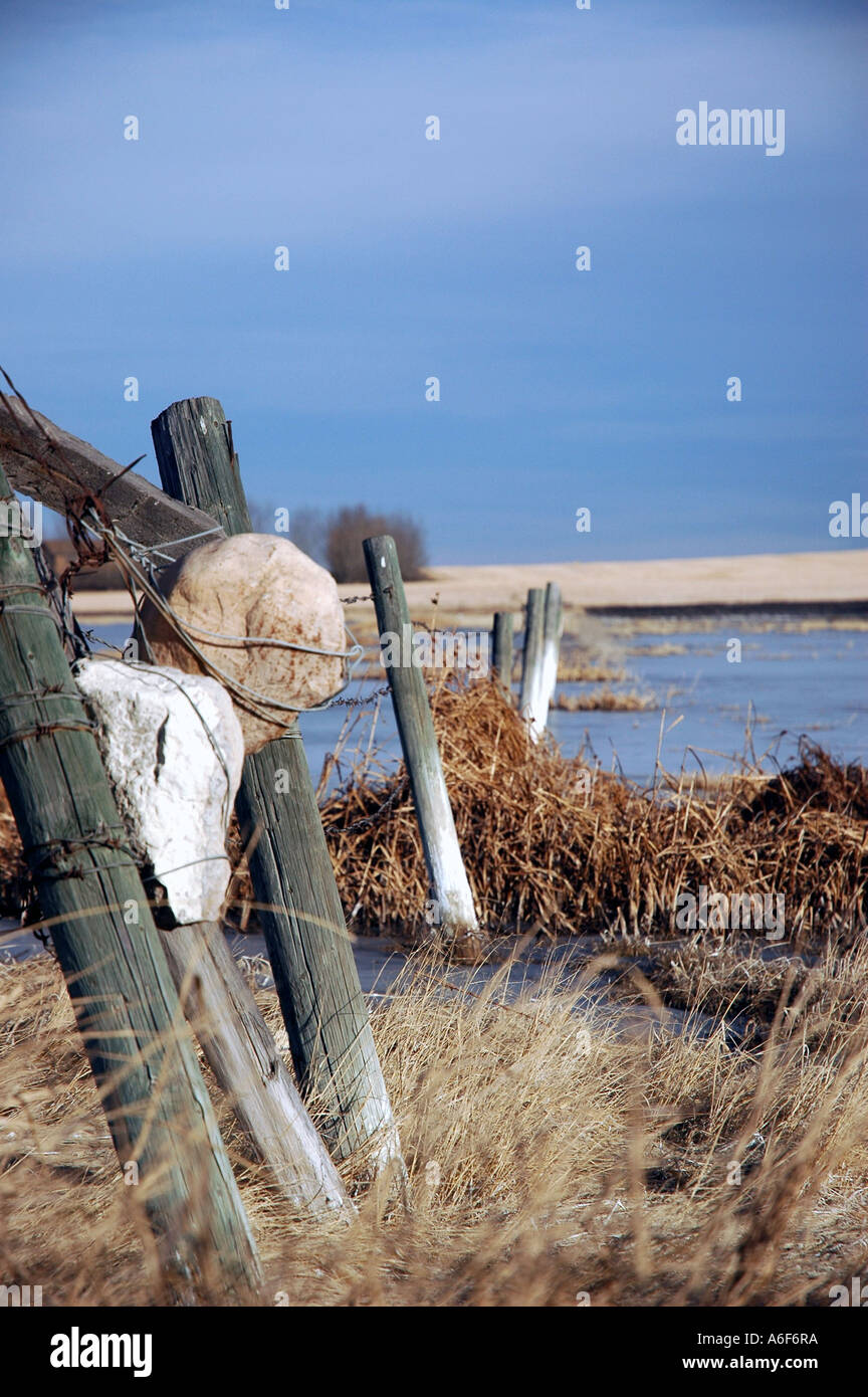 fence in slew of water Stock Photo - Alamy