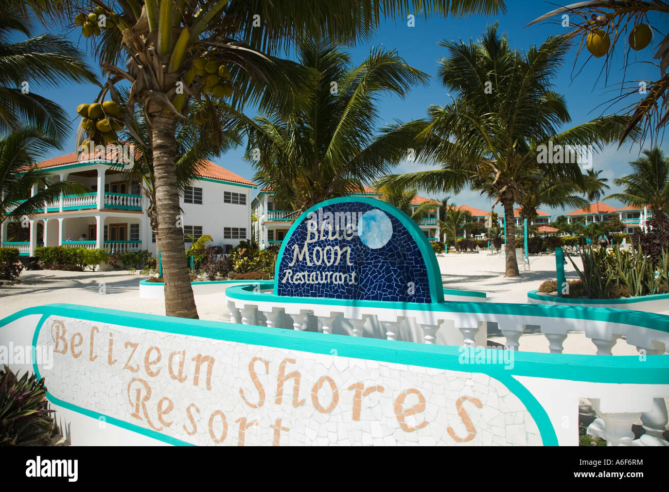 BELIZE Ambergris Caye Belizean Shores Resort sign and buildings palm ...