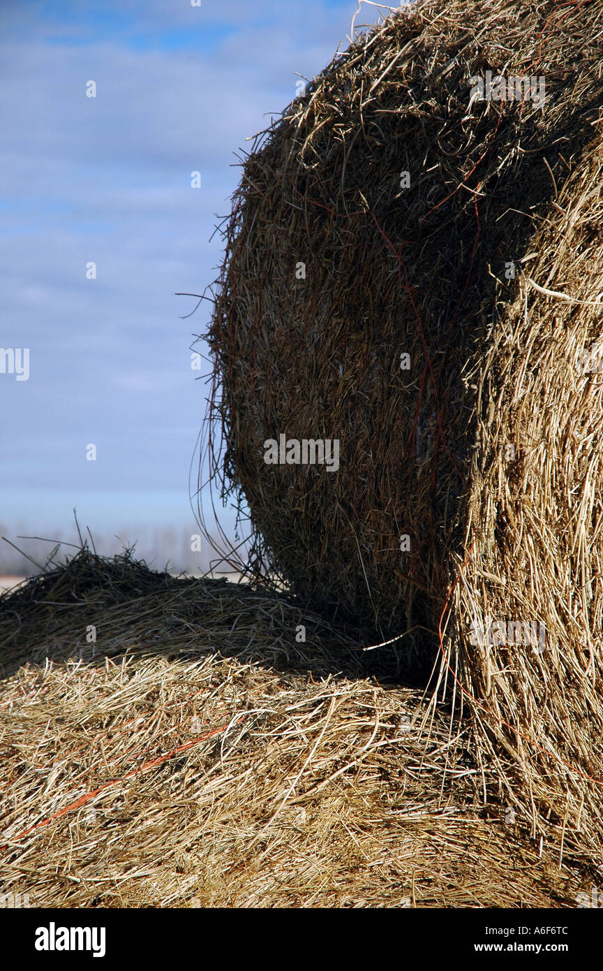 Stack of hay bails hi-res stock photography and images - Alamy