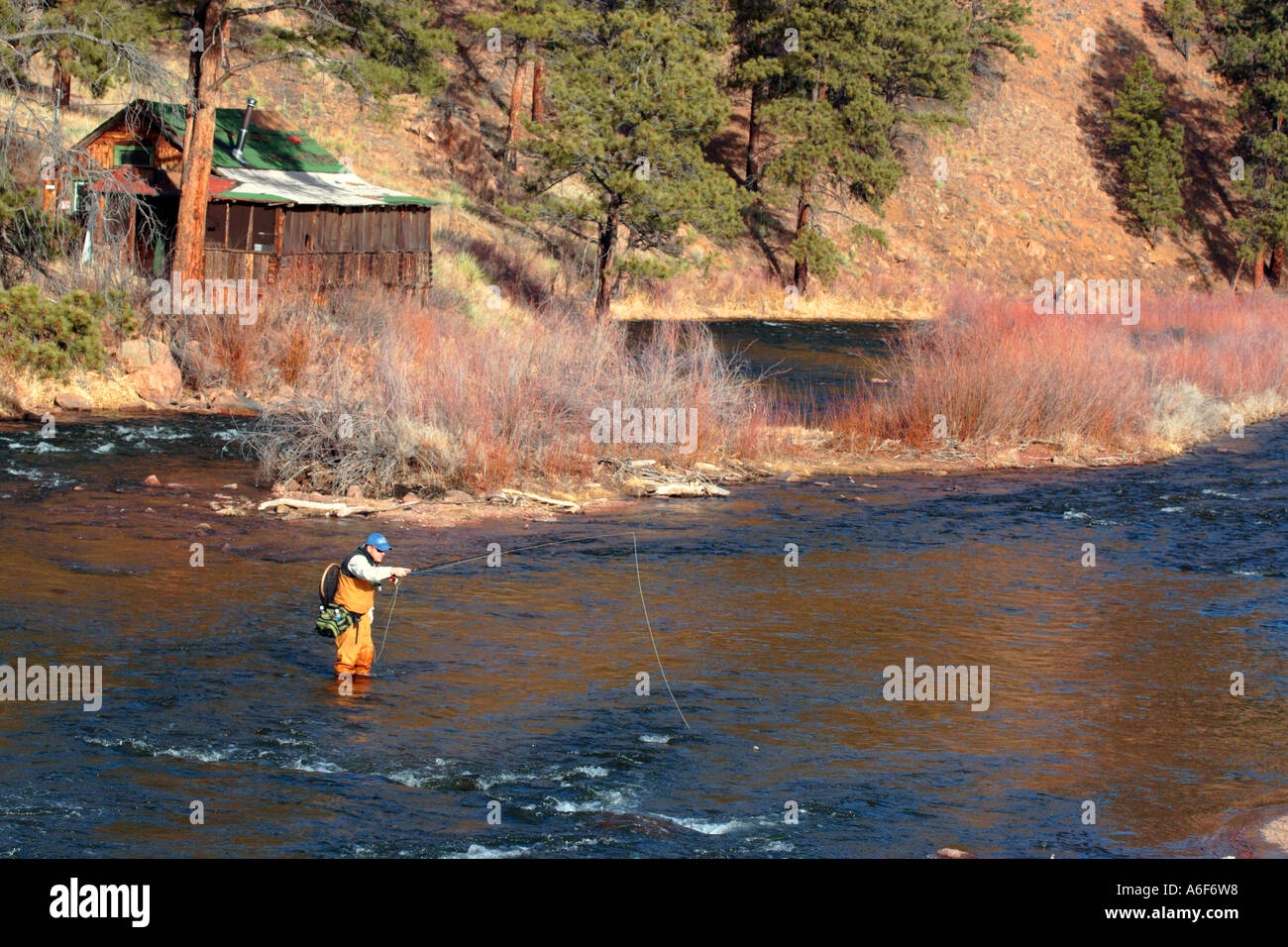 Fly fishing deckers colorado hi-res stock photography and images - Alamy