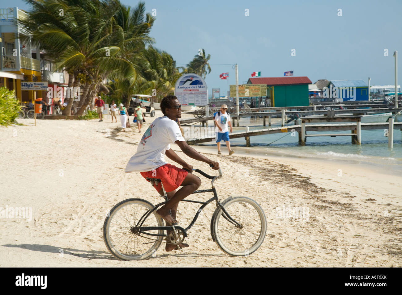 BELIZE San Pedro on Ambergris Caye Belizean man ride bicycle along ...