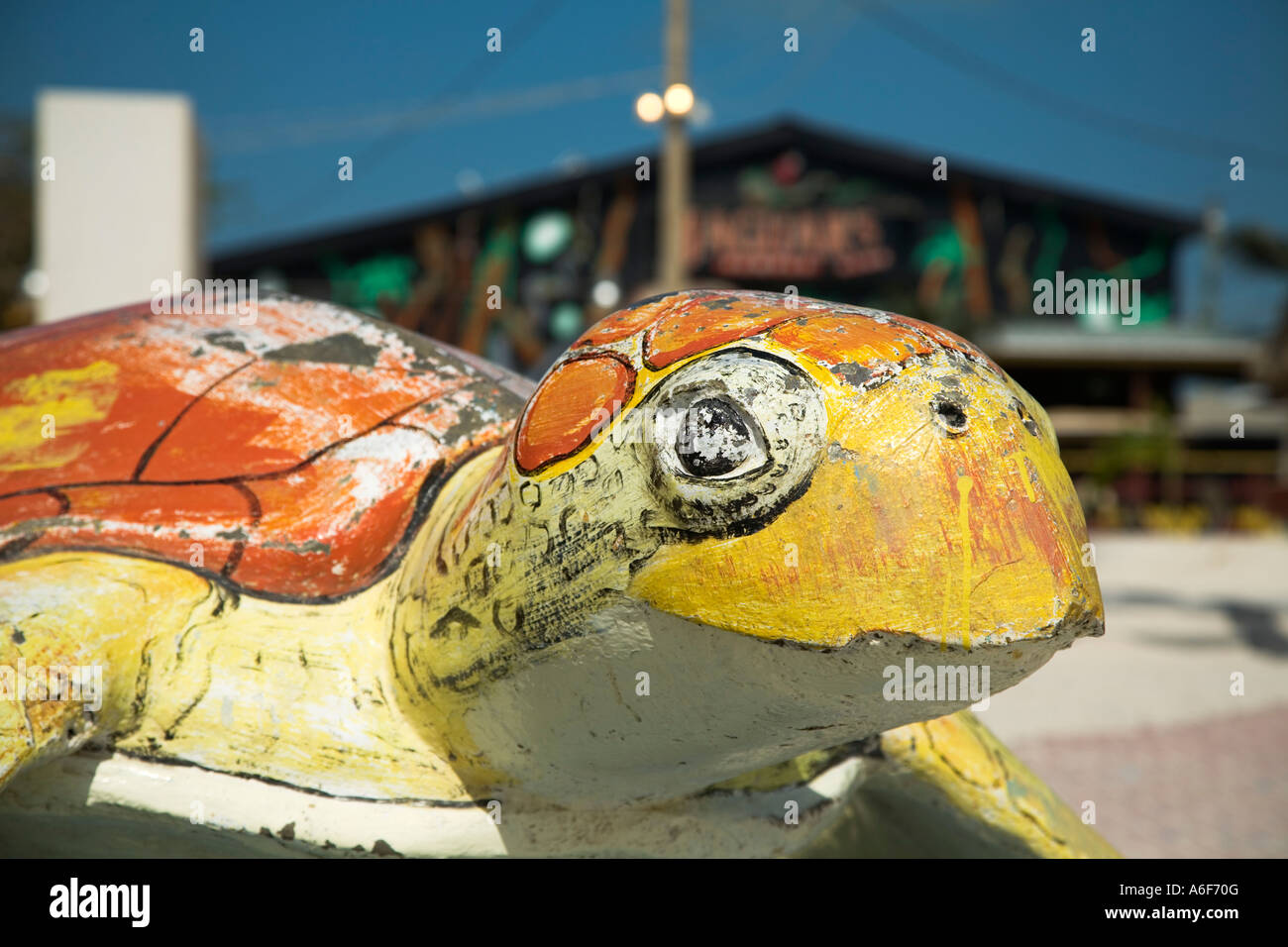 BELIZE San Pedro on Ambergris Caye Colorful sea turtle statue in ...