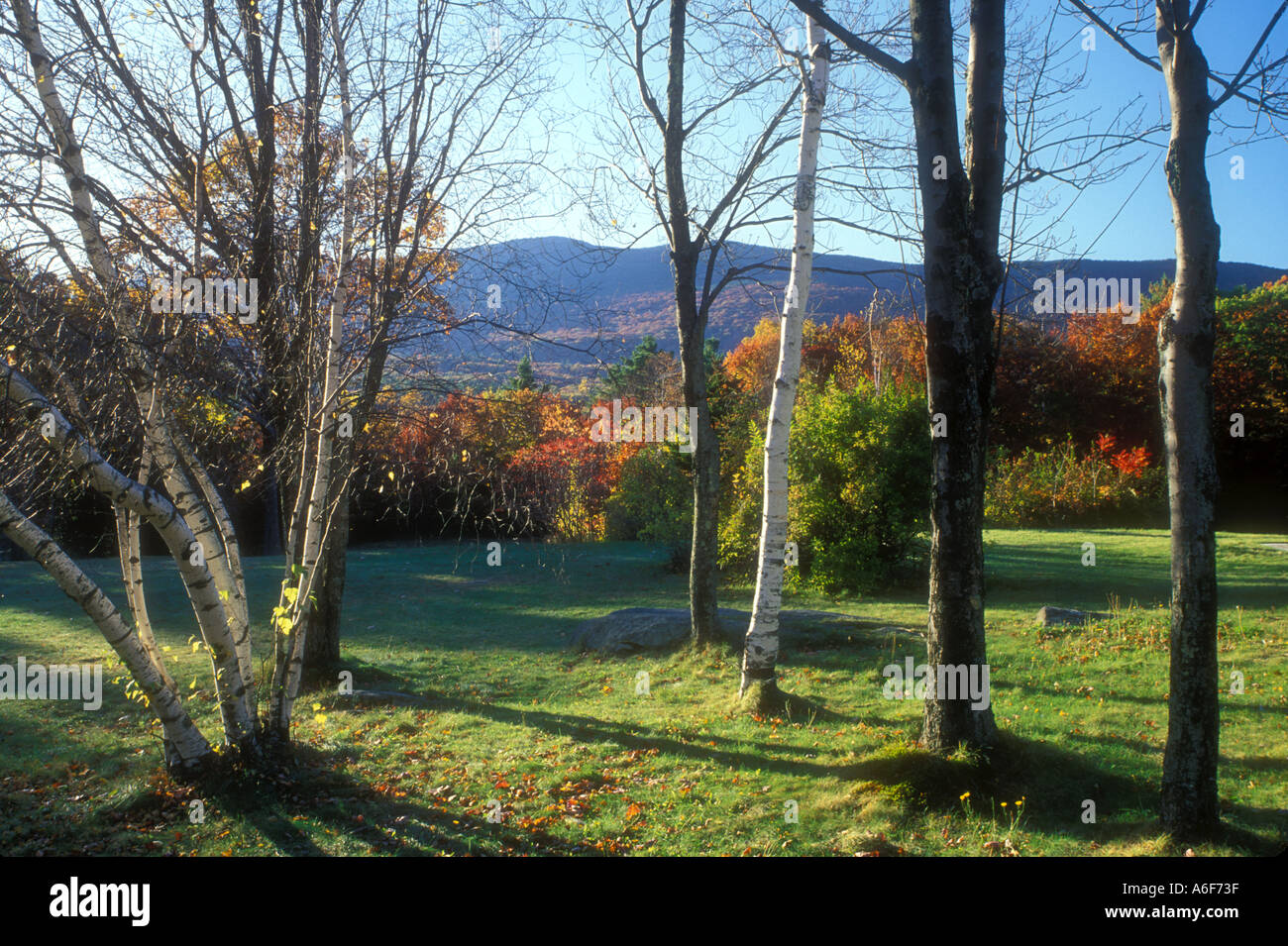 Mount monadnock state park hi-res stock photography and images - Alamy