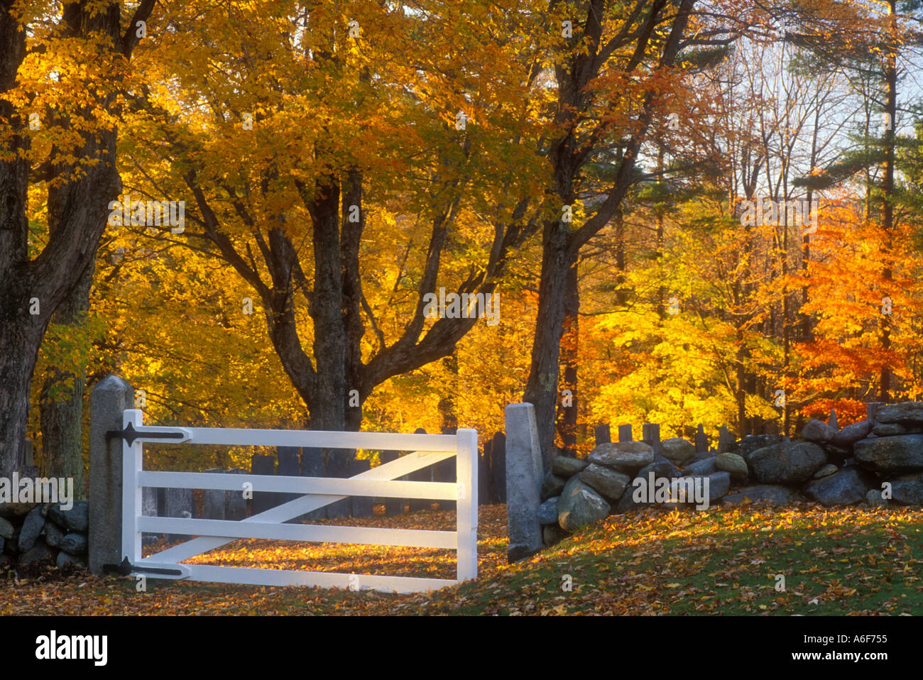 Nh center hi-res stock photography and images - Alamy