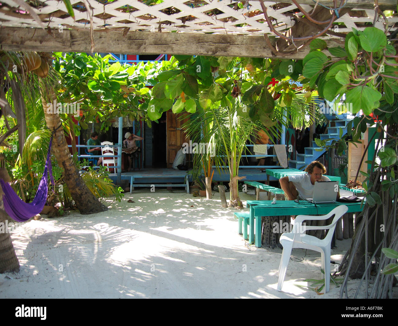 BELIZE Caye Caulker Man use laptop computer outdoors at lodge people ...