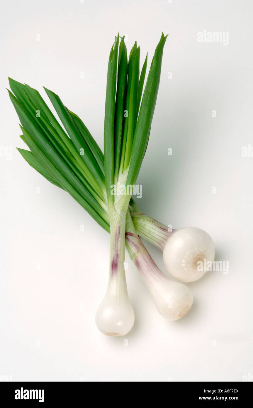 Vegetables Two Green Leek Law Onions Peas with white background Stock ...