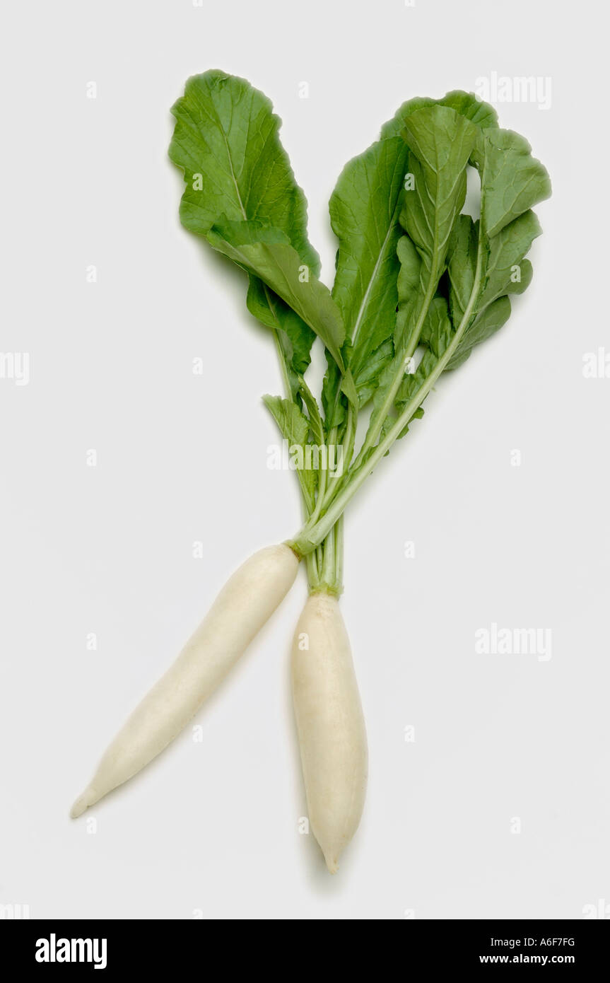 Vegetables Two Radish with green leaf and white background Stock Photo ...