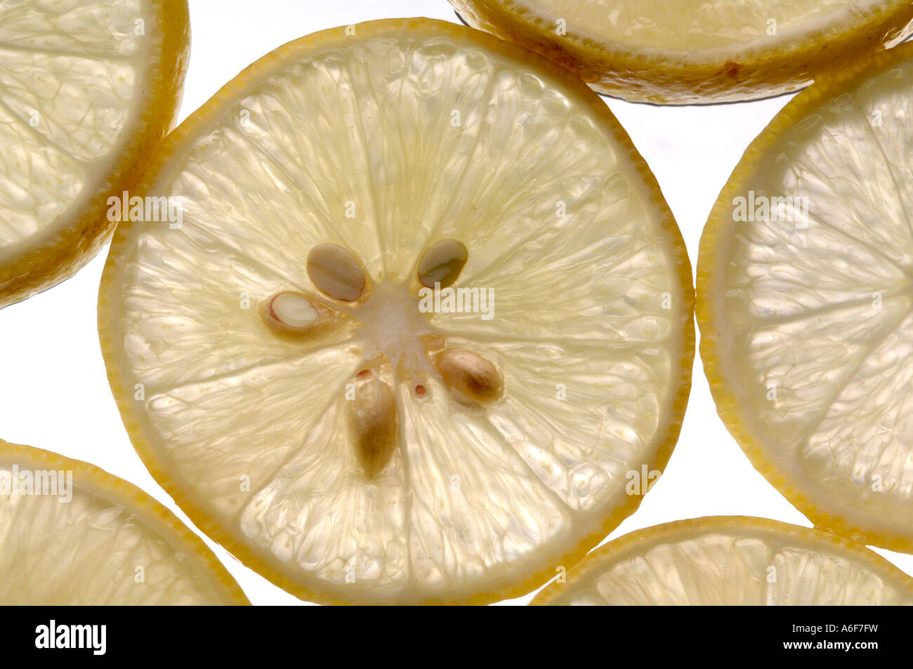 Spices Six Lemon Slices with white background Stock Photo - Alamy