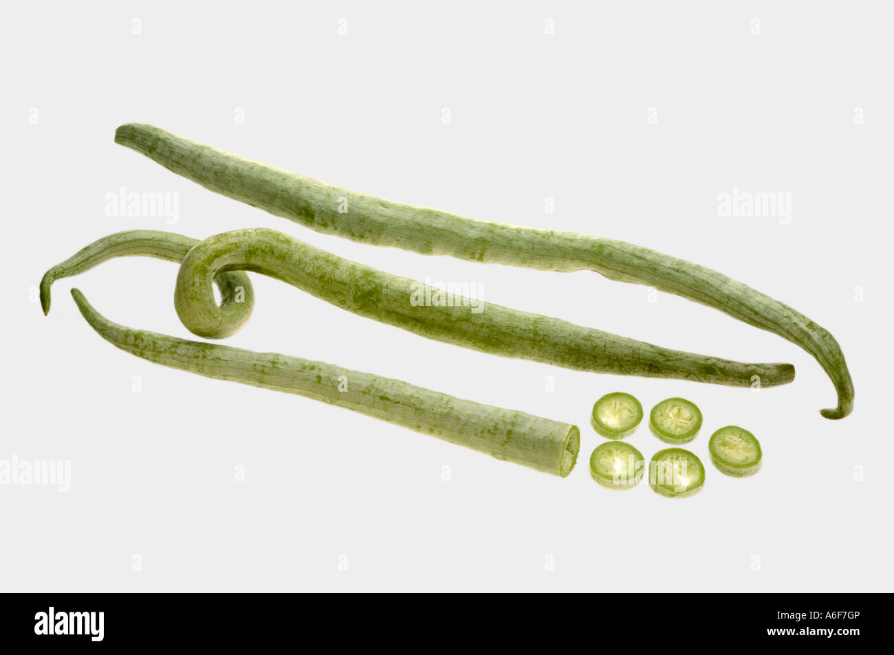 Vegetable Three Snake Gourd and five slices of it with white background ...
