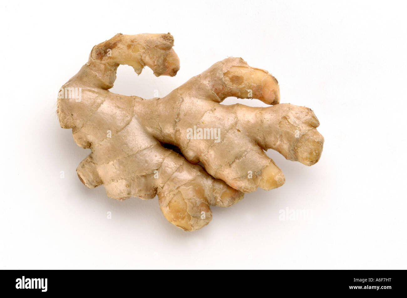 Vegetable One Ginger with white background Stock Photo - Alamy