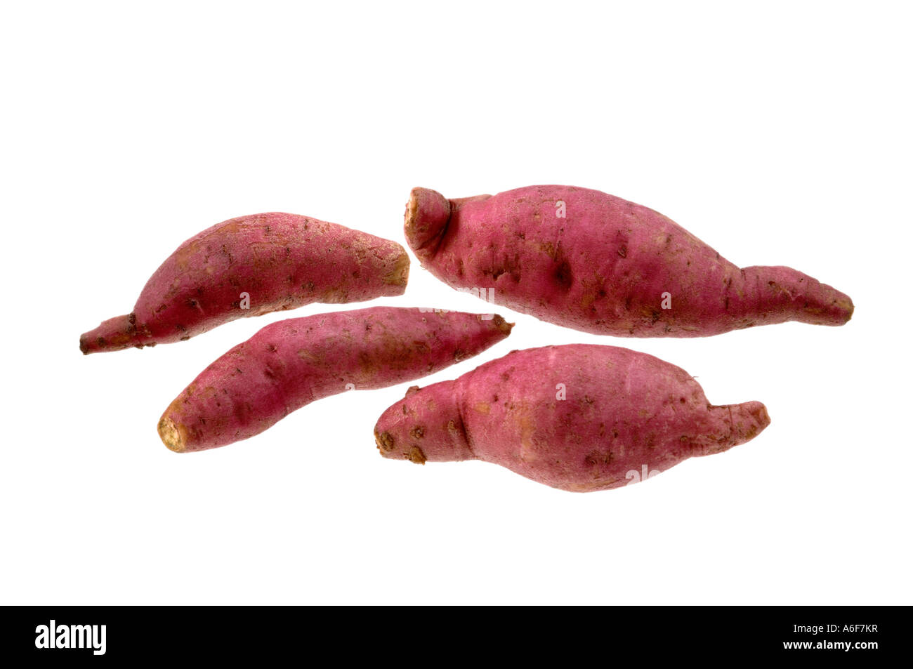 Rataloo kand hi-res stock photography and images - Alamy