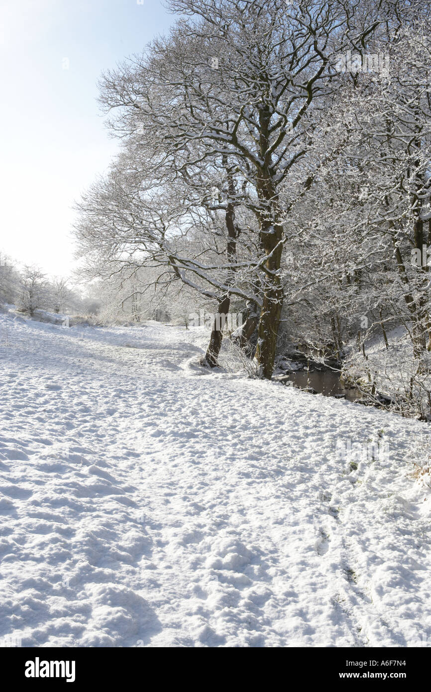 Snow covered trees britain hi-res stock photography and images - Alamy