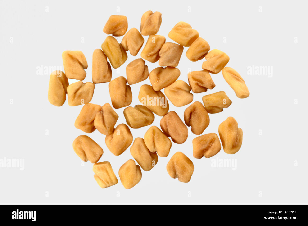 Spices Fenu Greek seed Trigonella foenum graceum with white background ...