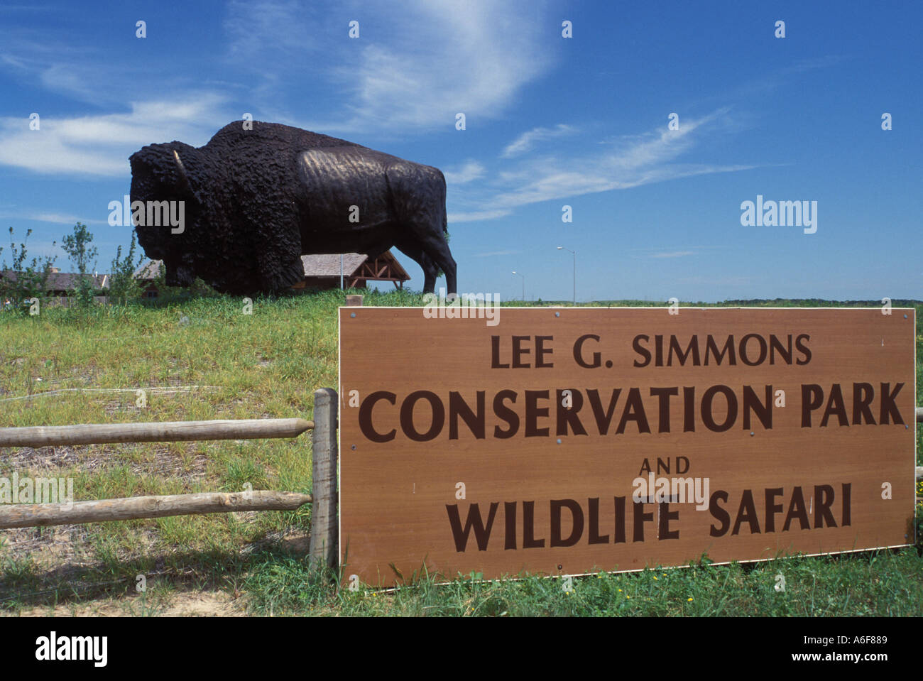 Buffalo ne hi-res stock photography and images - Alamy