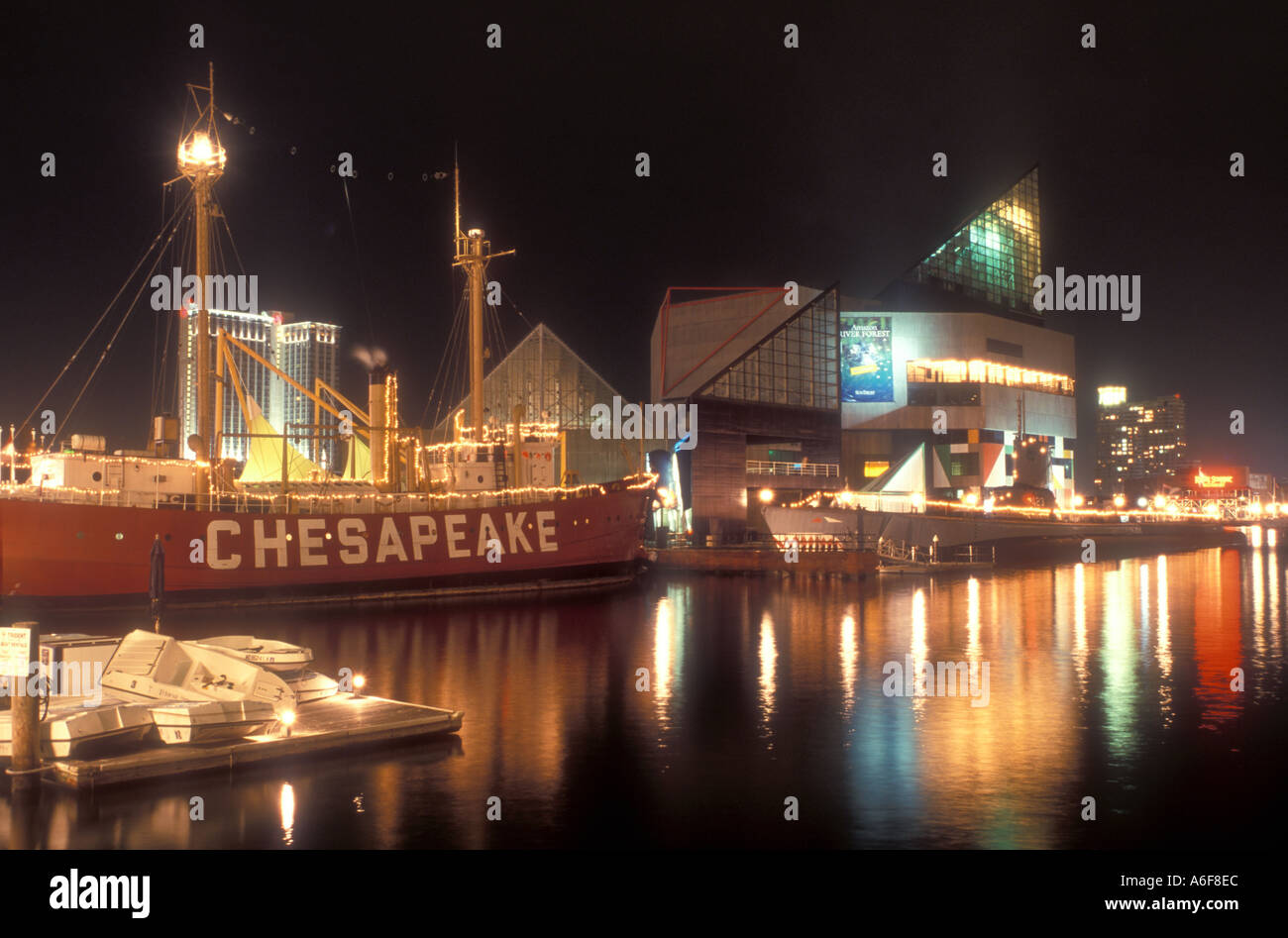 Coastal maryland marine life hi-res stock photography and images - Alamy