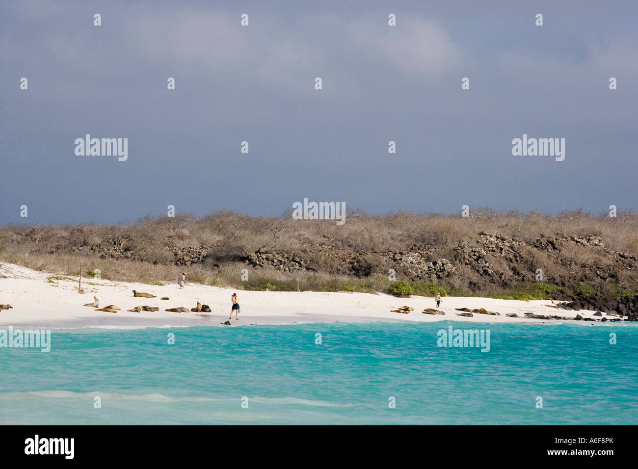 Gardner Bay Espanola in the Galapagos islands Ecuador South America ...