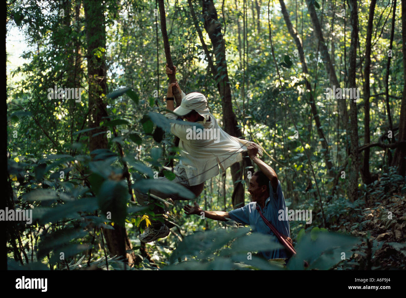 Lahu hilltribe man helps western woman swing on jungle vine, northern ...