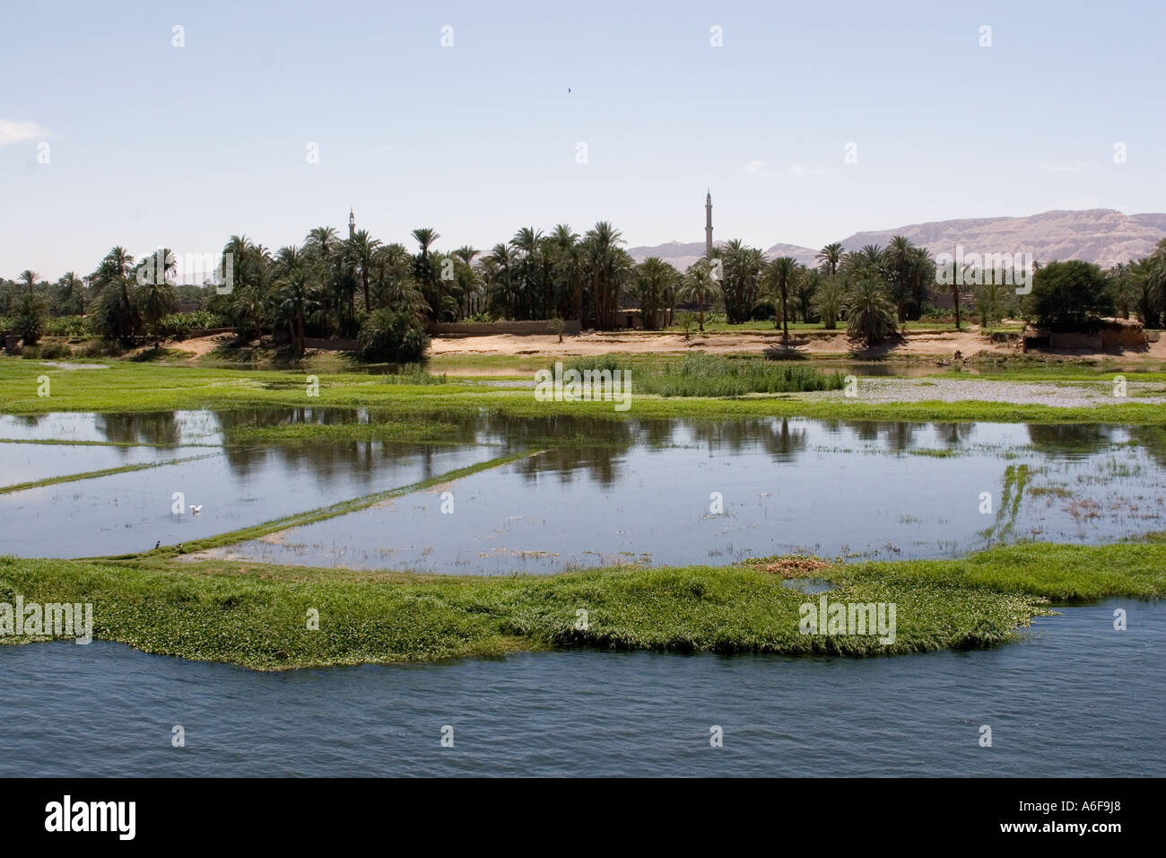 Nile water filled Fields Stock Photo - Alamy