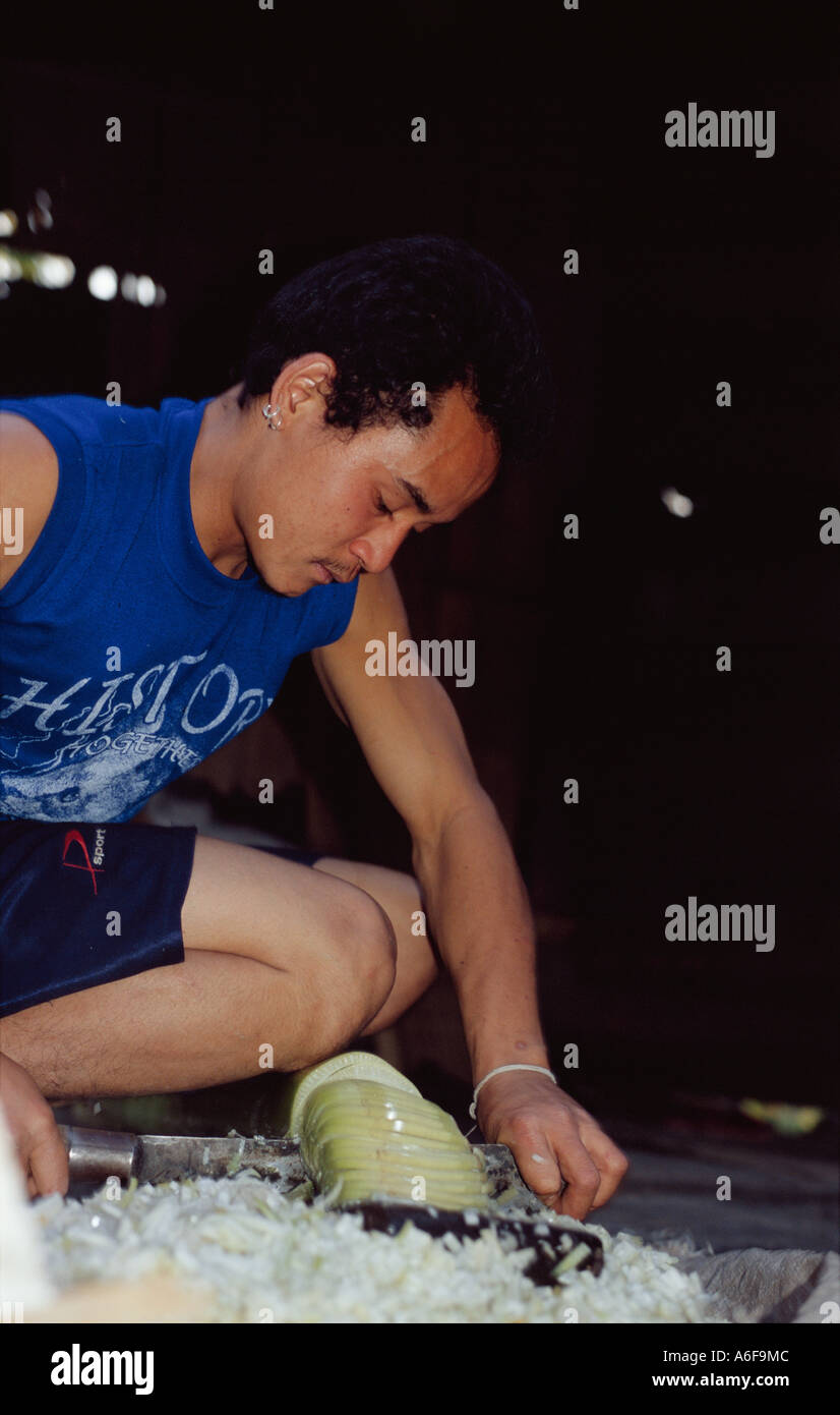 Karen hilltribe man chops banana stalk with machete for animal feed ...