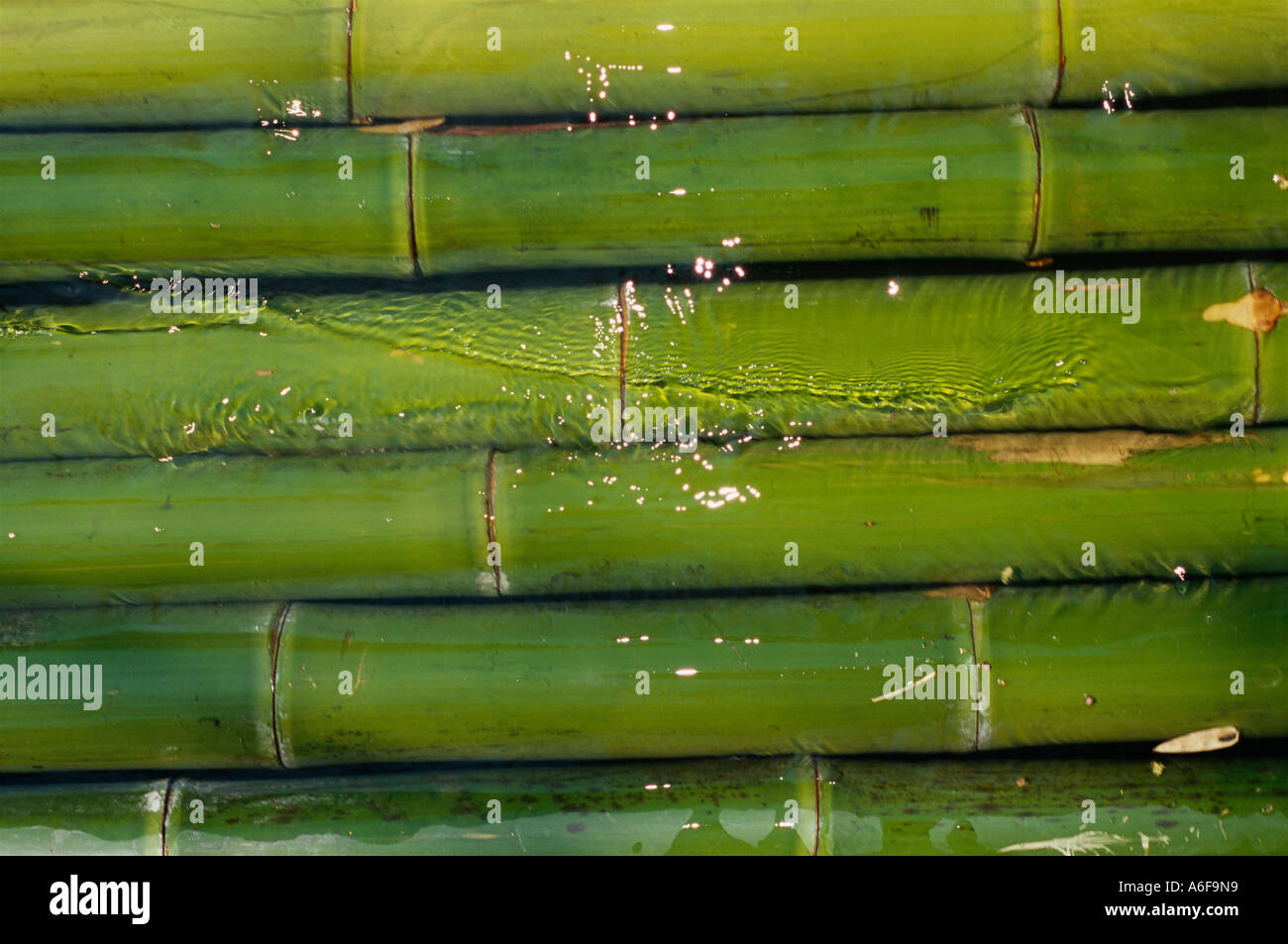 Detail of bamboo raft in water, Pai River, Thailand Stock Photo - Alamy