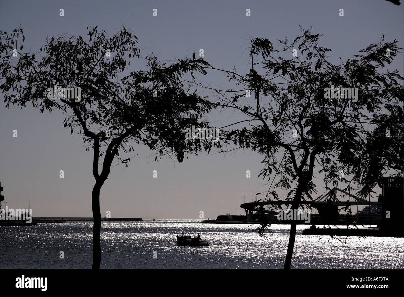 boating, silhouette, boat, trees, sea Stock Photo - Alamy
